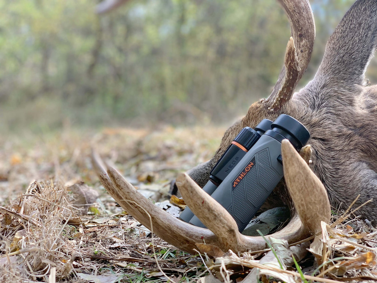 EDISLA: India’s Ultimate Choice for Quality Telescopes and Binoculars